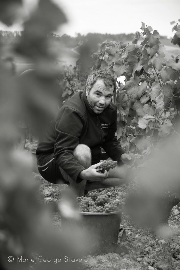 Marcel Giraudon - Wine Traditions ltd